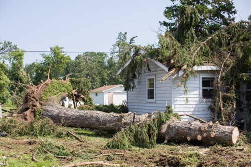 Wind Damage Lawyer in Orlando | No Win, No Fee. Available 24/7