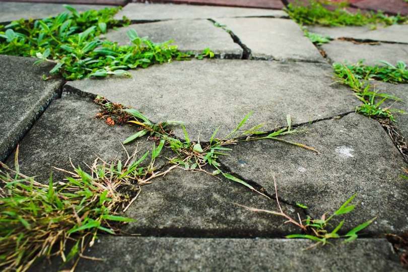 Cracked or Defective or Broken Sidewalk Lawyer in Boca Raton | No Win ...